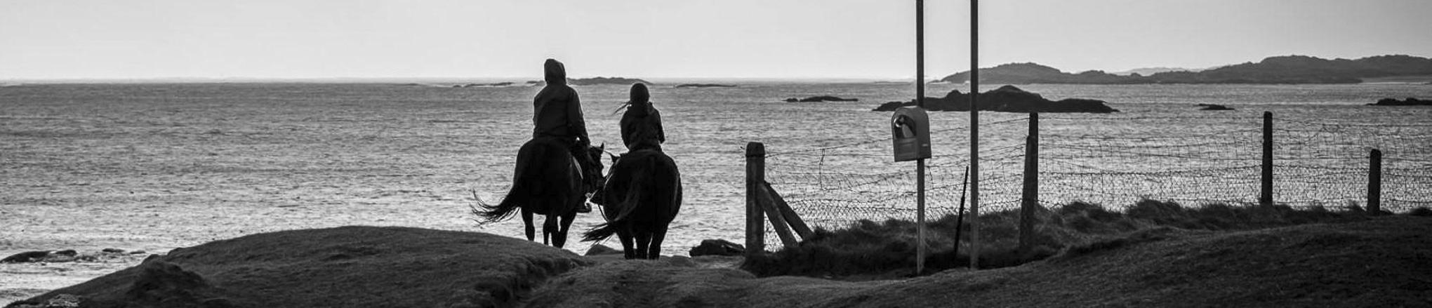 Horse Riding in Sligo - Wild Atlantic Wayfarers